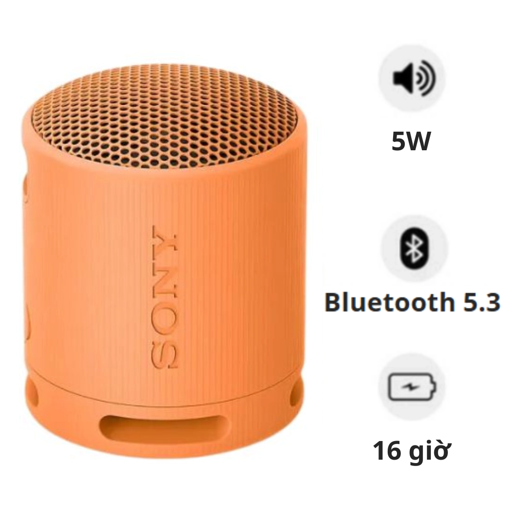 Loa Bluetooth Sony SRS-XB100 Extra Bass chính hãng | Lấy liền
